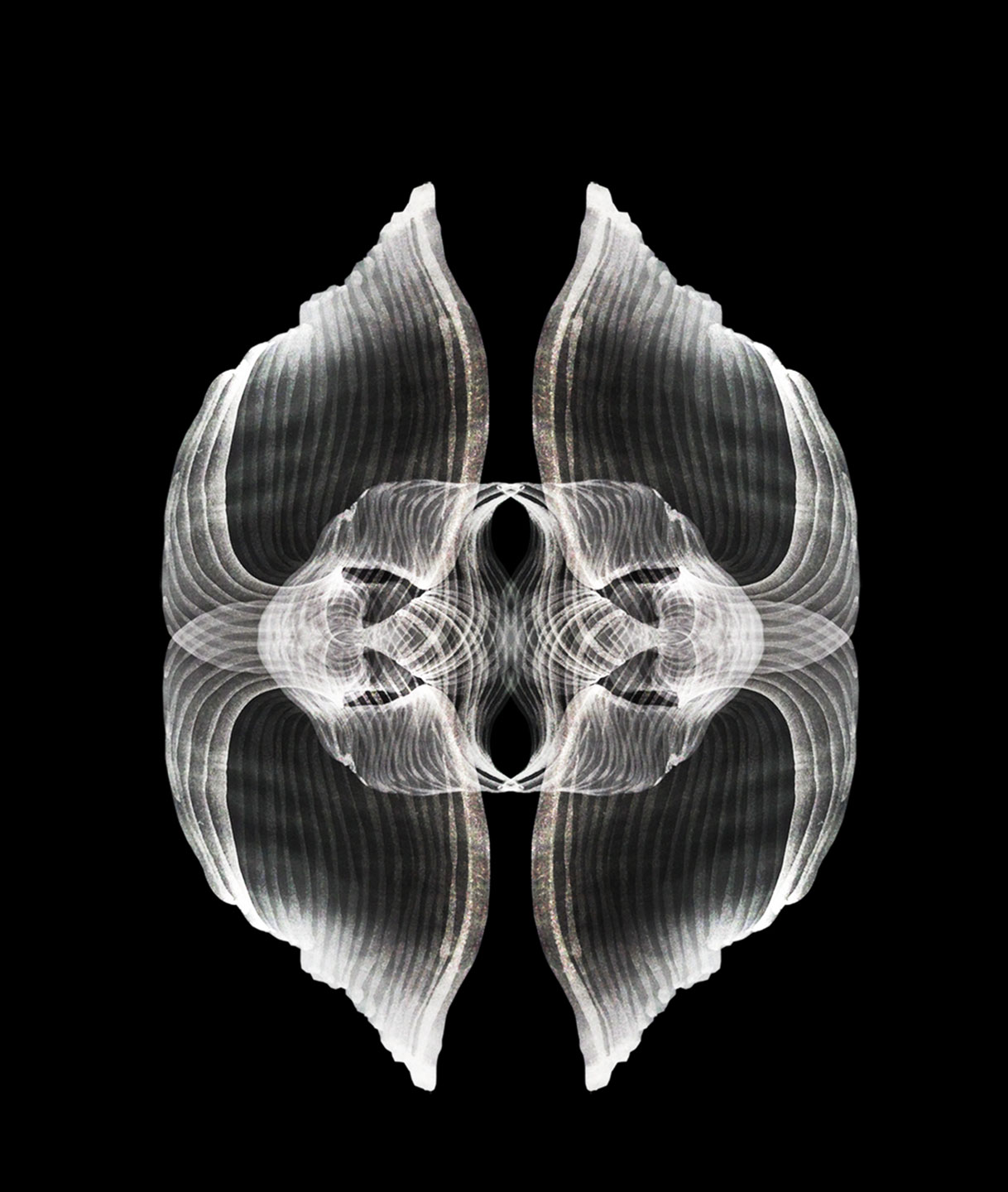 Home Collection - Ikea Foundation Switzerland